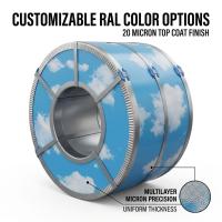 China RAL Custom Colour Prepainted Galvanized Coil 0.20-1.20mm 1250mm Width Wood Grain Stone Pattern Finish for sale