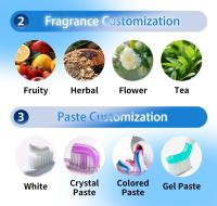 China Herbal Non Fluoride Oral Hygiene Sample Support Containing Natural Ingredients to Support Healthy Teeth and Fresh Breath for sale