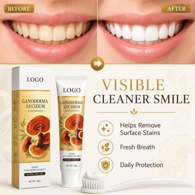 China Whitening Toothpaste with Herbal Ganoderma Lucidum OEM Private Label 100% Natural Whitening Organic Tooth White Mint Tooth Paste Breath Anti-bacterial Super Clean Teeth 120g for sale
