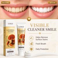 China Herbal Ganoderma Lucidum Wholesale Oral Care Tooth Paste 120g Fresh Breath Whitening Toothpaste Protect Gums Care Tooth Enamel Mint Toothpaste for sale