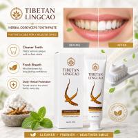 China Toothpaste Factory Customizes Teeth Whitening Toothpaste with Herbal Cordyceps Ingredients to Relieve Gum Oral for sale