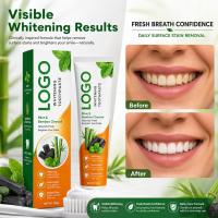 China Factory Price OEM Bamboo Charcoal Mint Whitening Toothpaste Natural Stain Removal Fresh Breath Teeth Whitening Toothpaste for sale
