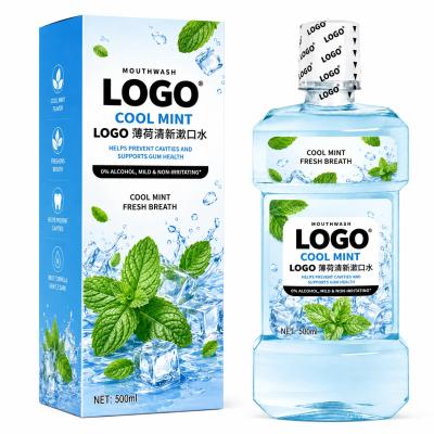 China Private Label Liquid Mouth Wash Teeth Whitening Oral Care Bottle Mint Flavor Mouthwash Alcohol Free for sale