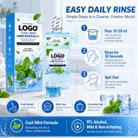 China Private Label Liquid Mouth Wash Teeth Whitening Oral Care Bottle Mint Flavor Mouthwash Alcohol Free for sale