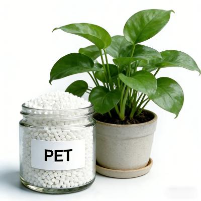 China CZ302 Jade Virgin PET Resin Pellets for Purified Water Bottles for sale