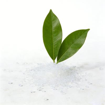 China PPH-G70T Grand Resource PP Plastic Granules Polypropylene Resin Thin-Wall Grade for Lunch Box for sale