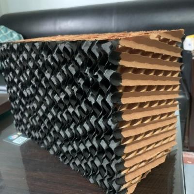China 95 GSM Black Coated Evaporative Cooling Pad for Greenhouse and Poultry Farm - 100mm Thickness with 7090/7060/5090 Models for sale