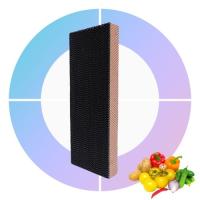 China Xingmuyuan 7090 7060 5090 Honeycomb Cooling Pad 10mm for Poultry Farm Greenhouse Air Cooling for sale