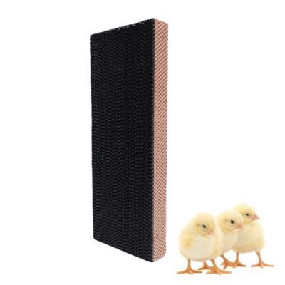 China Xingmuyuan 7090 Poultry Farm Cooling Pad 7mm Flute Evaporative Cooling Cell Pad for sale