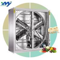 China Wall Mounted Exhaust Fan 300mm 380V for Poultry Farm Greenhouse Industrial Ventilation for sale