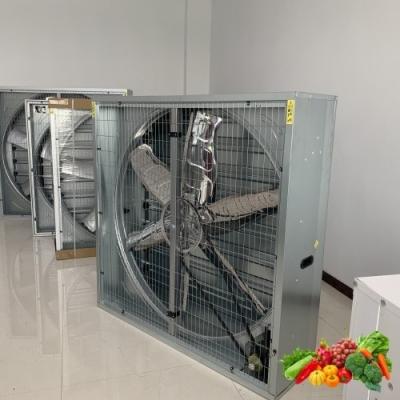 China 1380mm Light Trap Chicken House Exhaust Fan 44500 m3/h 1100W Poultry Ventilation Fan for sale