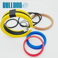 China 991-00131 991/00131 Hydraulic Cylinder Rebuild Kits  JCB Cylinder Seal Kit for sale