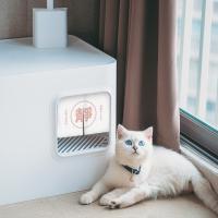 China Sturdy Open Top ABS Cat Little Box White / Gray With Removable Lid for sale