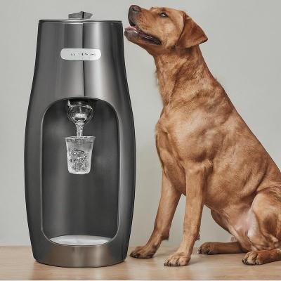 China Cordless Pet Drinking Dispenser Non Slip Electric Cat Water Fountain For Refreshing Hydration for sale