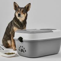 China Durable Plastic Cat Little Box Lightweight Design Small Litter Box For Kittens for sale
