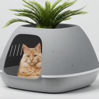 China Cozy Design Cat Little Box Easy Clean Small Cat Litter Box With Lid for sale