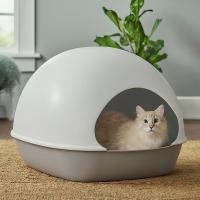 China Cozy Design Cat Little Box Easy Clean Small Cat Litter Box With Lid for sale