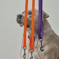 China Nylon Pet Accessories Supplies Easy Cleaning For Indoor And Outdoor Use for sale