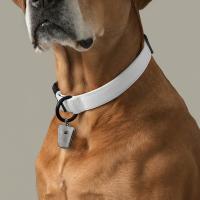 China Nylon Polyester Cotton Pet Accessories Supplies For Dogs Cats Small Animals for sale