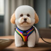 China Stylish Adjustable Pet Collars Leashes Harnesses Custom Dog Collars Leashes And Harnesses for sale