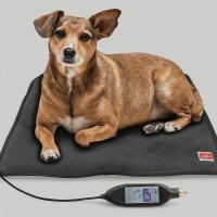 China Overheat Protection Electric Pet Heat Pad , Auto Shut Off Cat Warming Pad for sale