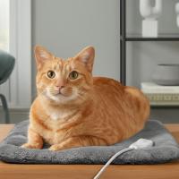China Fast Heating Electric Pet Warming Pad , 6 Feet Cord Cat Heating Pad for sale
