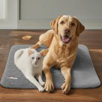 China 3 Level Overheat Protection Heated Pet Pad 2 Hour Timer 6ft Cord Cat Heating Pad Indoor for sale