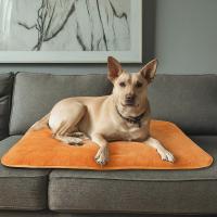China Microplush Polyester Pet Heating Pad Indoor Carbon Fiber Dog House Heating Pad for sale
