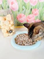 China Eco Friendly Mix In Pet Treats Fortified With Nutritional Supplements Cats And Dogs Pet Treats for sale