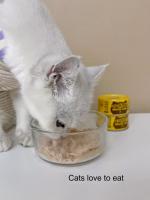 China Hydrates And Beautifies Hair Canned Staple Food Good Palatability For CAT for sale
