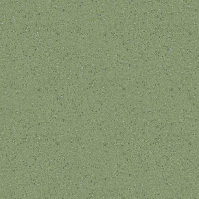 China Wear Resistant Homogeneous Vinyl Flooring 2mm 3mm Waterproof Anti Slip Roll for sale