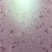 China Anti Corrosion Homogeneous Vinyl Flooring Roll 2mm 2m x 20m for Hospitals for sale