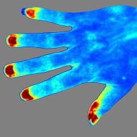 China RWD RFLSI-ZW Laser Speckle Contrast Imaging System for sale