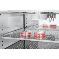 China RWD D180 CO2 Incubator for sale