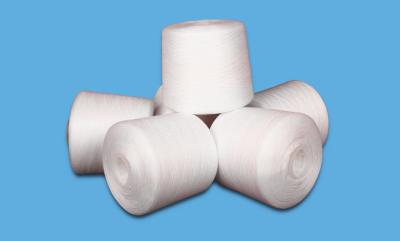 China Plastic Dyeing Tube 60s/3 Raw White 100% Virgin Spun Polyester Bright Yarn for sale