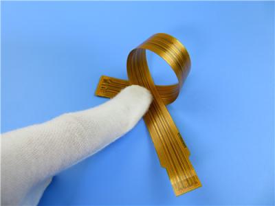 China Double Sided Flexible PCB with 1oz Copper and Immersion Gold plus Head Connectors for Equipment Controller for sale