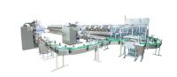China 30 - 120 Piecespack Wet Wipes Production Machine Wet Wipes Packaging Machine for sale