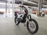 China Digital Meter Enduro Off Road Motorcycles Enduro Dual Sport Motorcycles for sale
