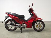 China 1960×690×1140mm Cub Racing Mortorcycle Business 1310mm Wheel Base for sale
