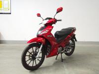 China 1960×690×1140mm Cub Racing Mortorcycle Business 1310mm Wheel Base for sale