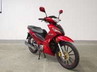 China 1960×690×1140mm Cub Racing Mortorcycle Business 1310mm Wheel Base for sale