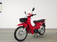 China Tin 110 Cc Underbone Cub Motorcycle Customized Color 750mm Seat Height for sale