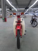 China Diesel Power Cub Pocket Motorcycle Drum Brake Electric Or Kick Start for sale