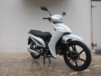 China Customized Color Cub Motorcycle 125 Cc New Style Big Middle Box for sale