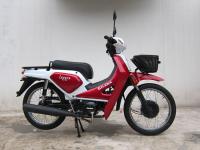 China Two Wheeler Cub Sport Motorcycle Gasoline System Powerful Electric Engine for sale