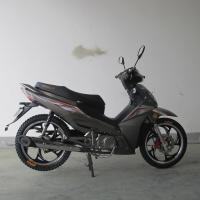 China 7500RPM CDI Ignition TR135-NF 135CC Cub Motorcycle for sale