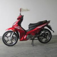 China 7500RPM CDI Ignition TR135-NF 135CC Cub Motorcycle for sale