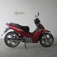 China 7500RPM CDI Ignition TR135-NF 135CC Cub Motorcycle for sale