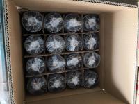 China 12mm PET Printer Film for TTR WAX GENERAL GRADE Competitive Performance Guarantee for sale