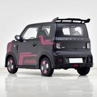 China Panda New Energy Vehicle Pure Electric Left Steering 201-300km NEDC Range 50kW Motor Long Range Cruising for sale